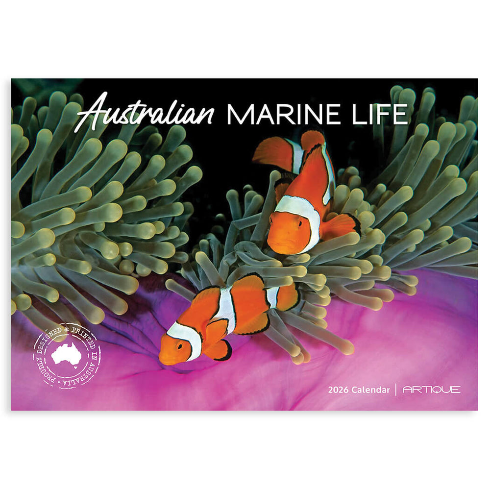 Australian Calendars 2026 | Gifts & Souvenirs - Bits of Australia