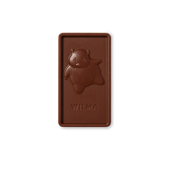 Koala Chocolates Australian Treats for Overseas Made by Patons - Bits ...