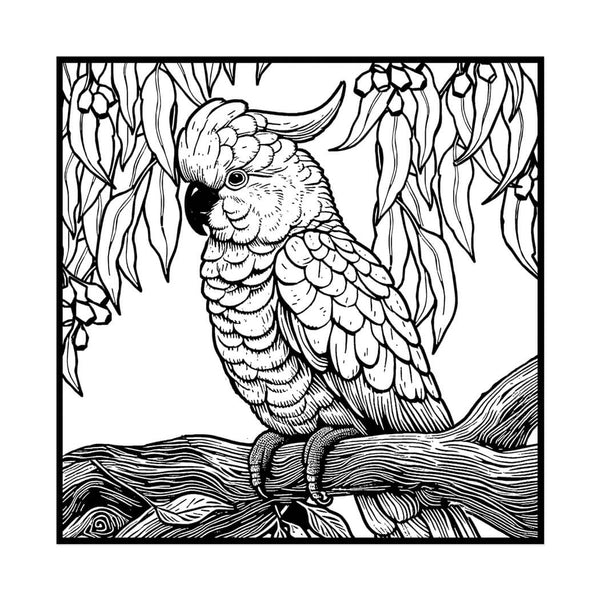 Aboriginal Art Colouring In Book, Australian Gifts for Kids - Bits of ...