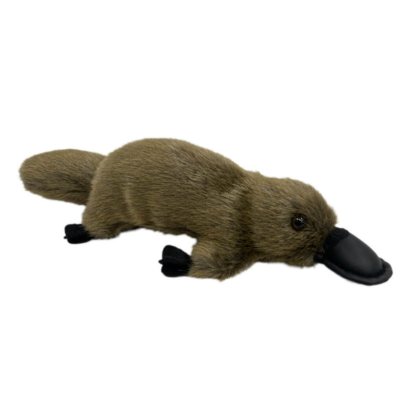 Platypus Soft Toy Australian Made Souvenirs and Gifts for Overseas ...