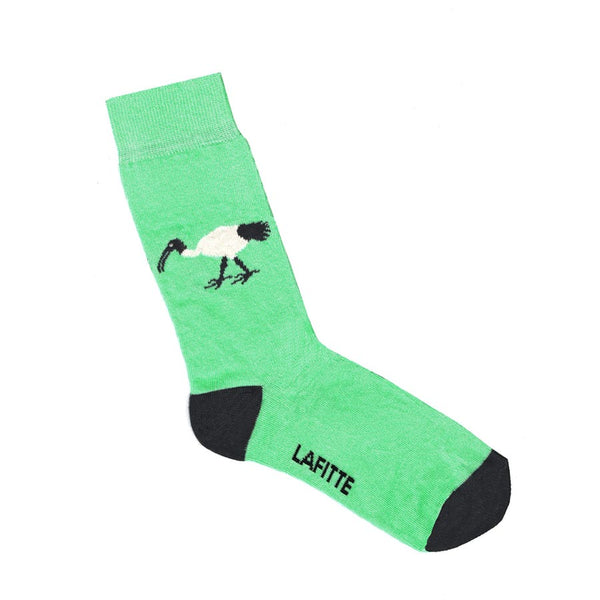 Ibis Socks - Novelty Bin Chicken Australian Made Socks - Bits of Australia